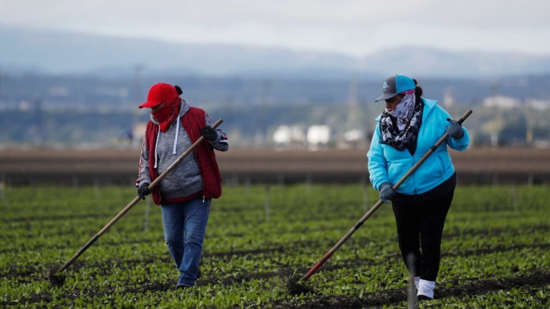 Alamosa Migrant Farm Workers Need Your Help! | Latin Life Denver